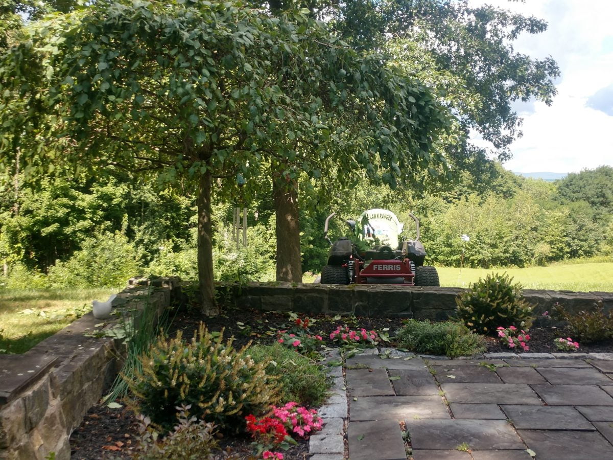 Gallery - The Lawn Ranger